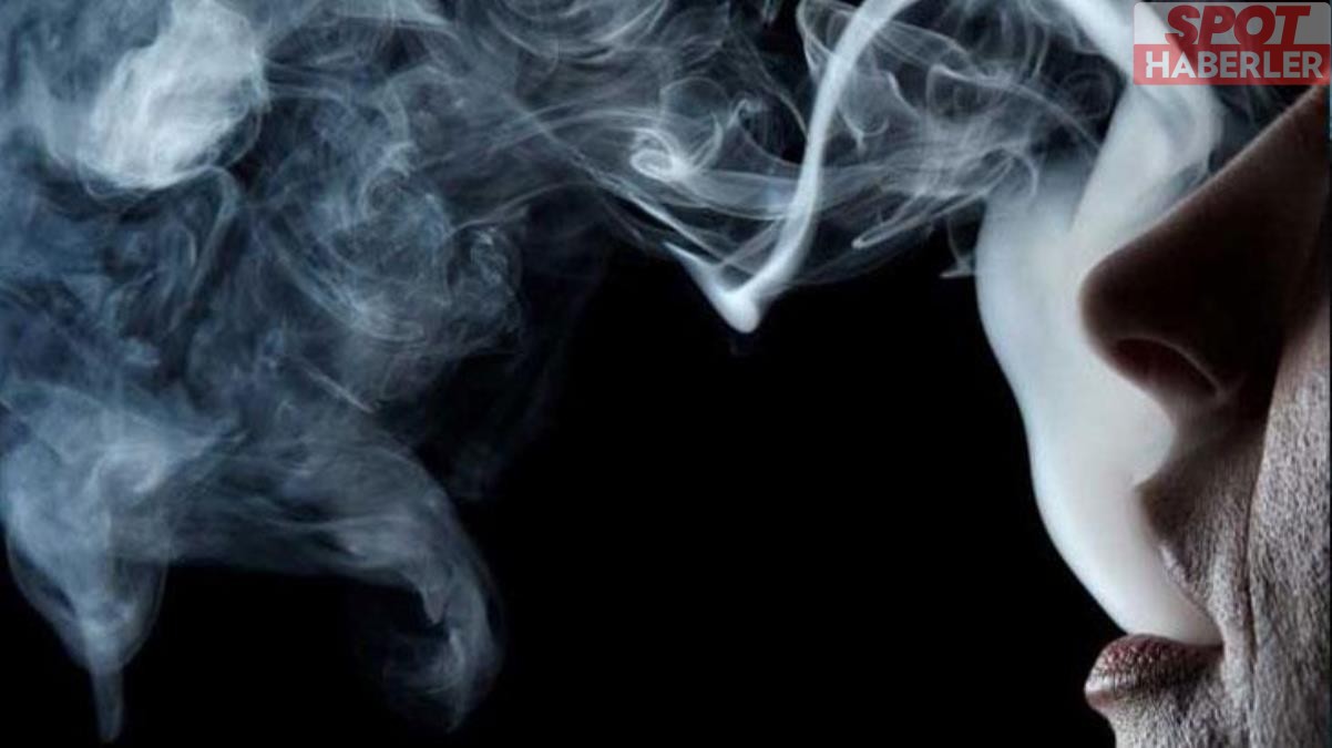 20 yıl sigara içenle, hiç içmeyen birinin ciğeri karşılaştırıldı ...